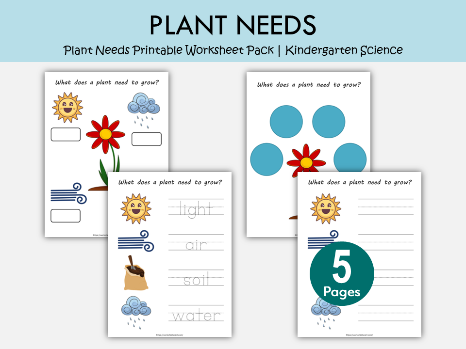 Plant Needs Worksheets, Germination, Plant Unit for Kids, What Do Plan ...